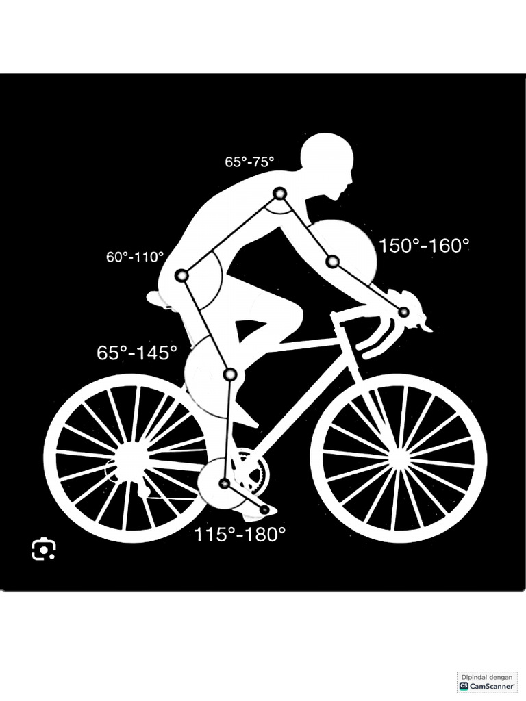 Bike fit position | PDF