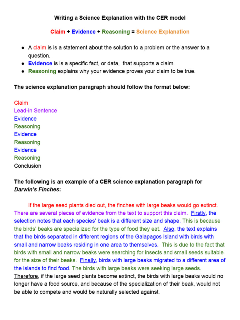 CER Paragraph Format With EXAMPLE | PDF