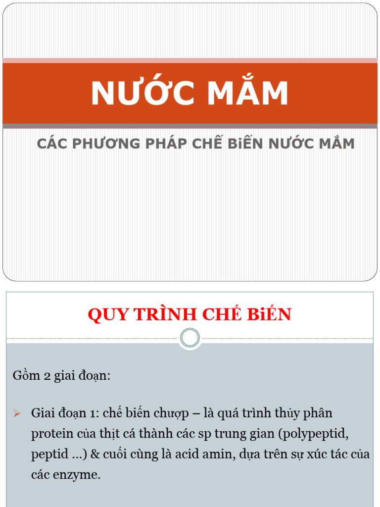 Nuoc Mam 2 - Phuong Phap | PDF