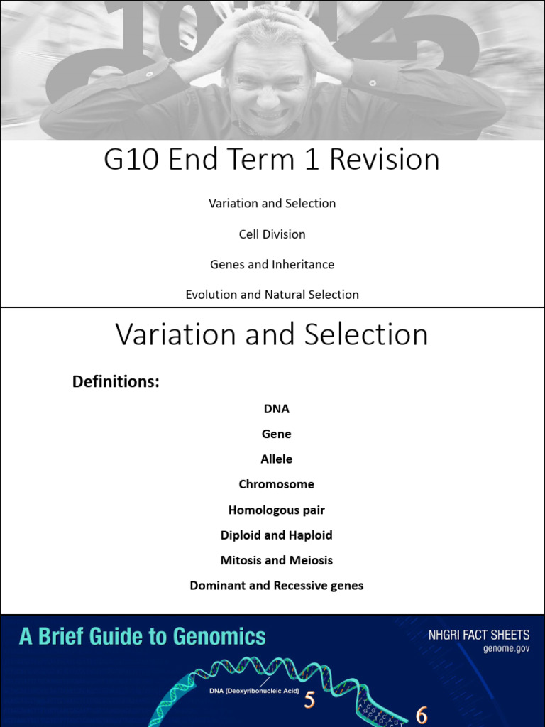 G10 Revision | PDF | Mitosis | Meiosis