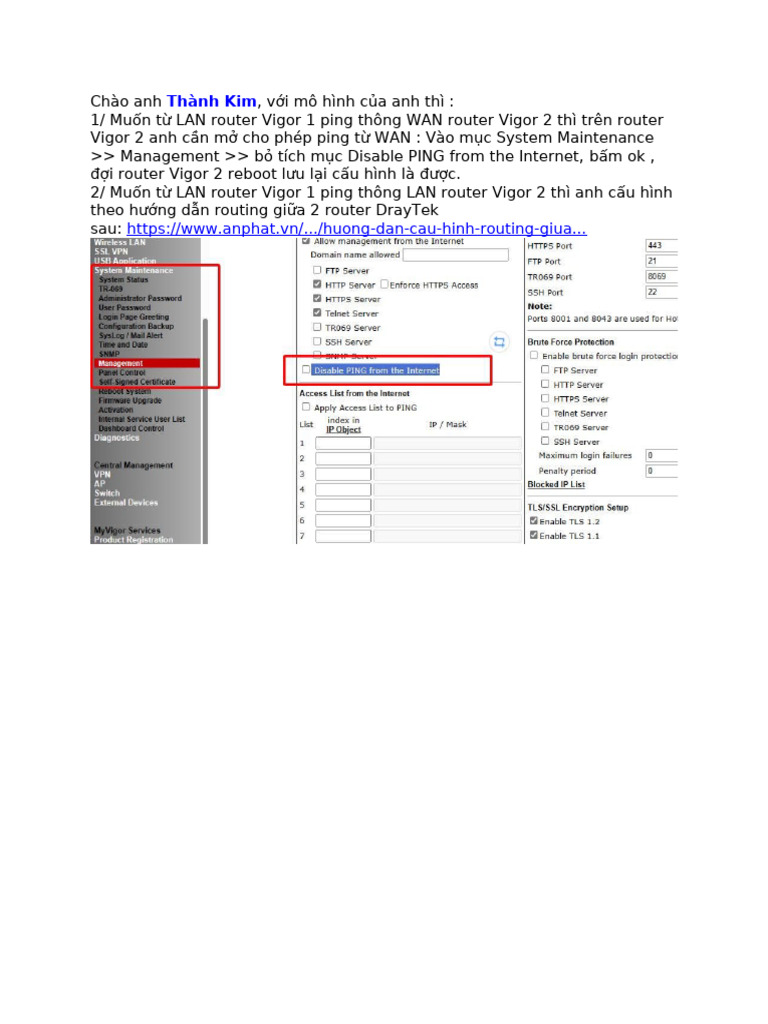 Cấu Hình Ping Thông Wan-lan, Lan-lan 2 Router Draytek | PDF