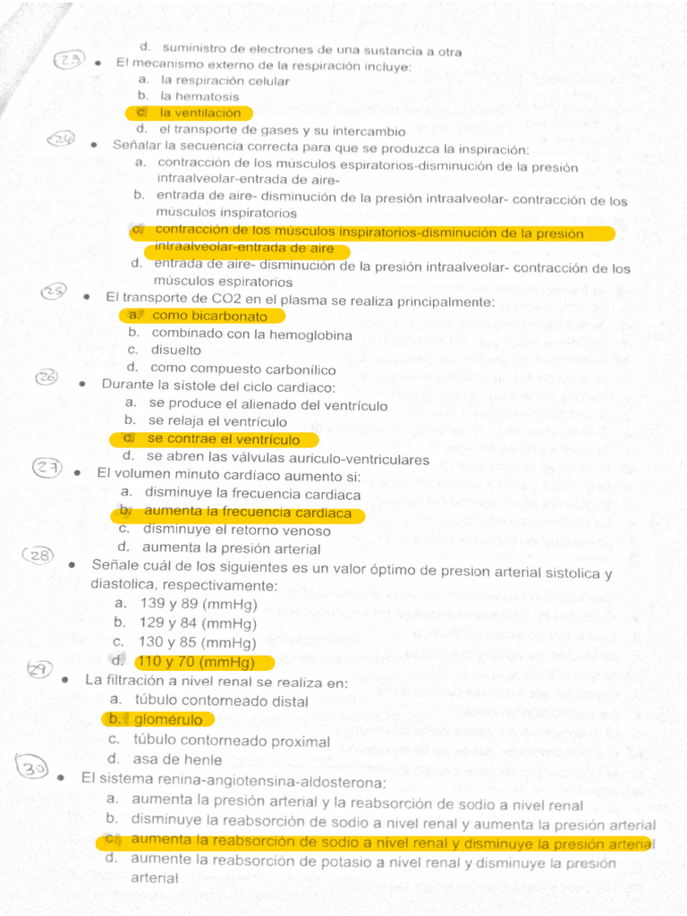 Parcial Tema Cinco Parte Cuatro - Fusionado | PDF