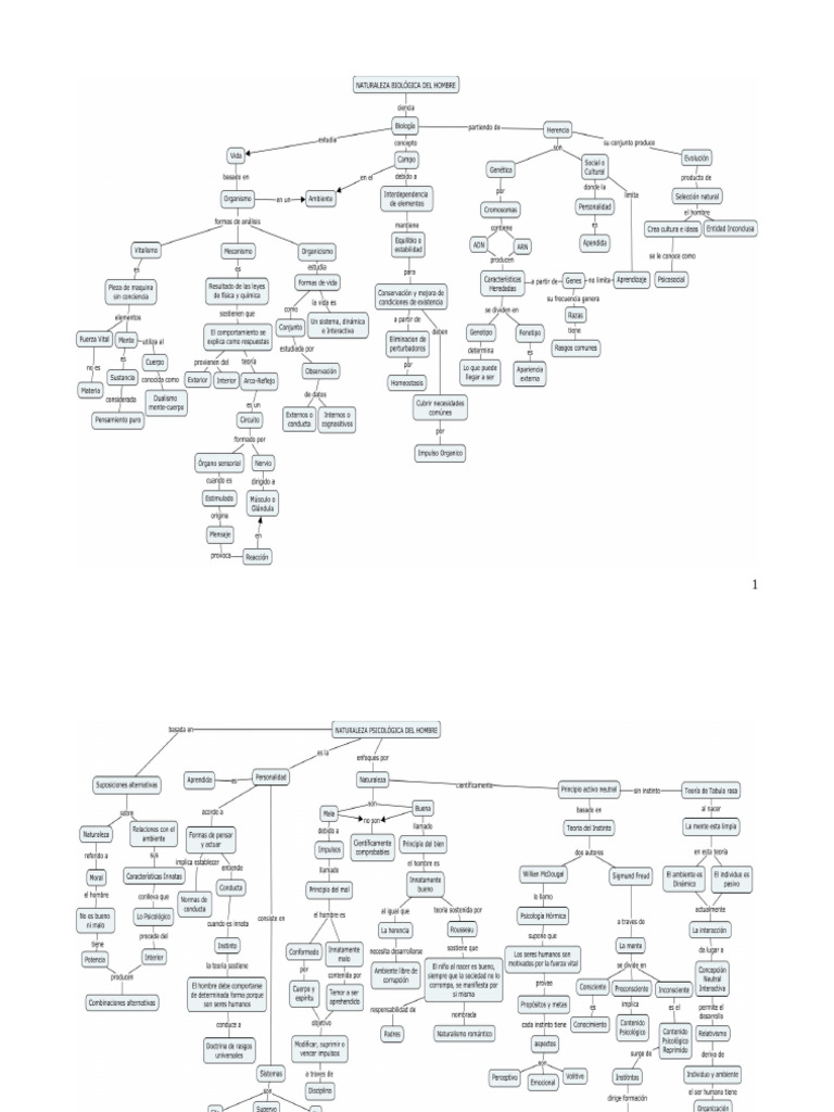 Mapa Conceptual Naturaleza Del Hombre | PDF