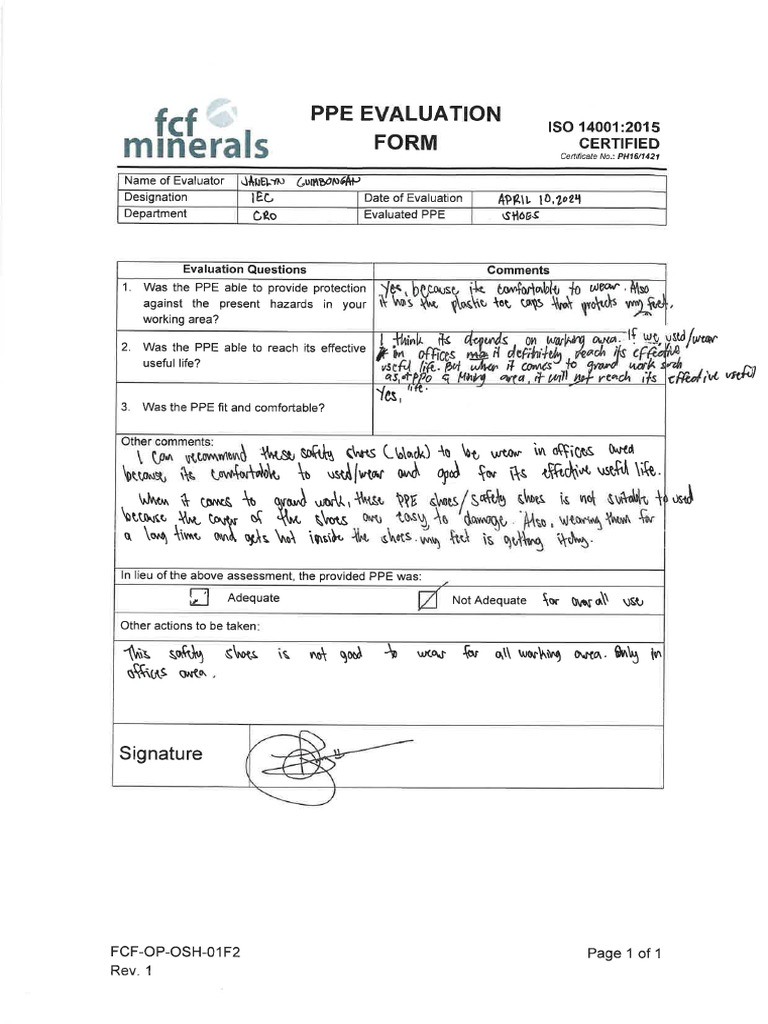 Consolidated Ppe Evaluation Form - Neuking Safety Shoes | PDF