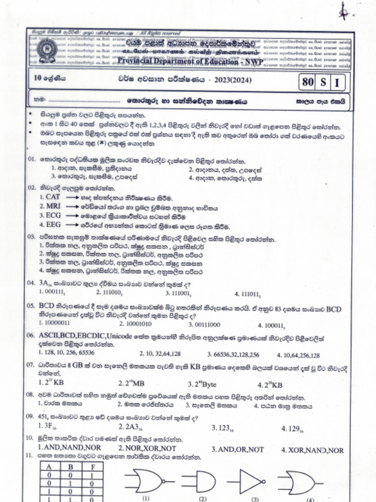 Grade 10 Ictsm NWP 3rd Term | PDF