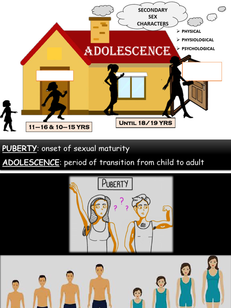 Understanding Adolescence and Puberty | PDF