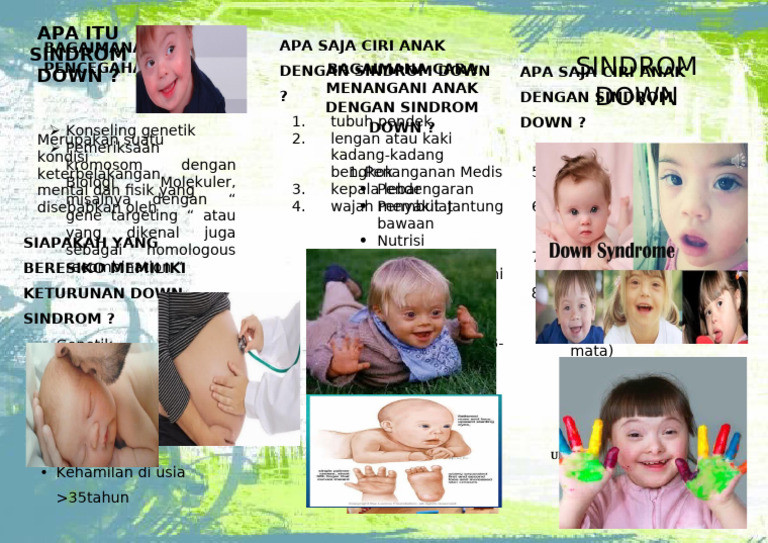 Leaflet Down Syndrome | PDF