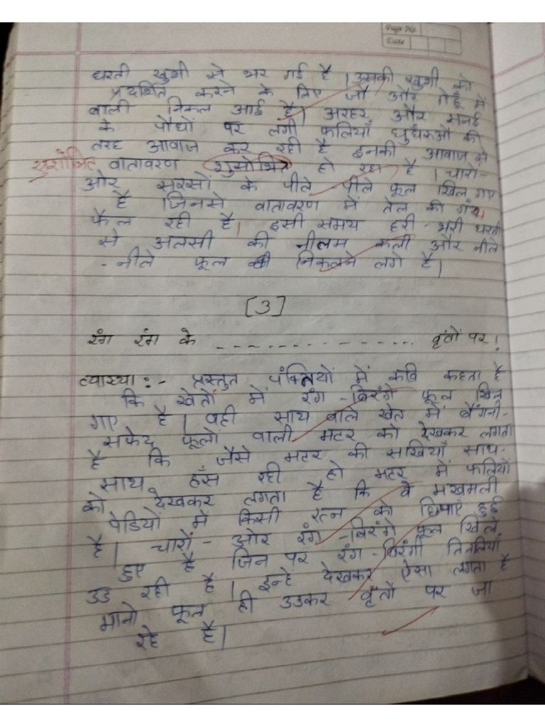 Gramshree Class 9 Hindi | PDF