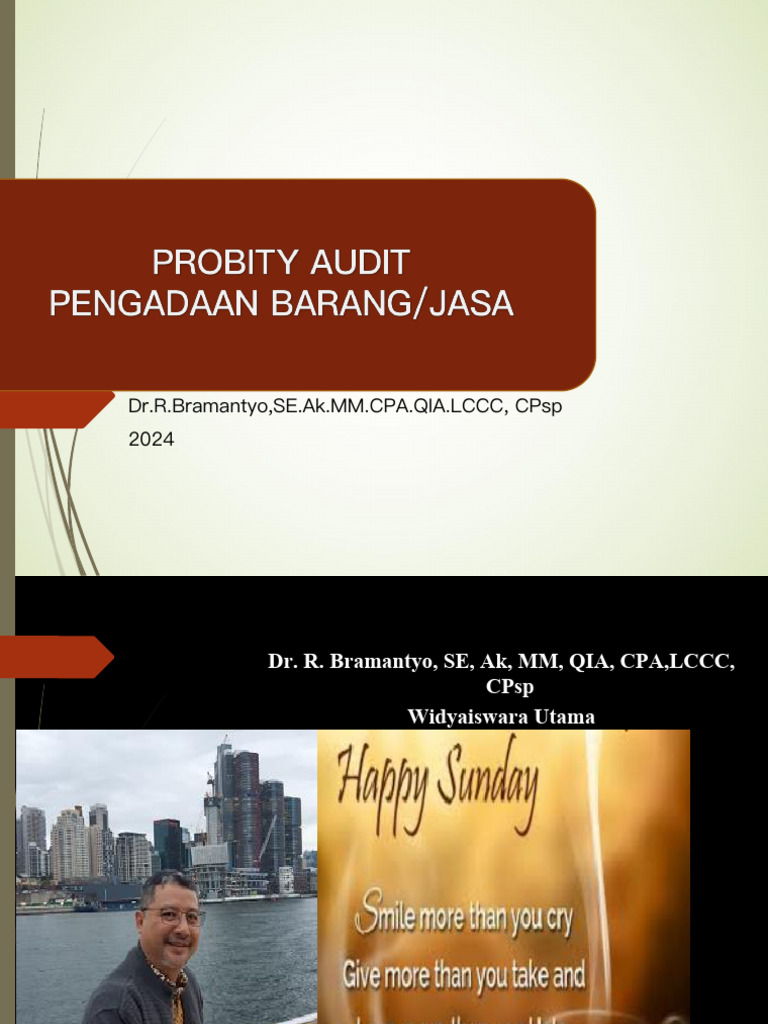 Panduan Audit Probity dalam PBJ Pemerintah | PDF
