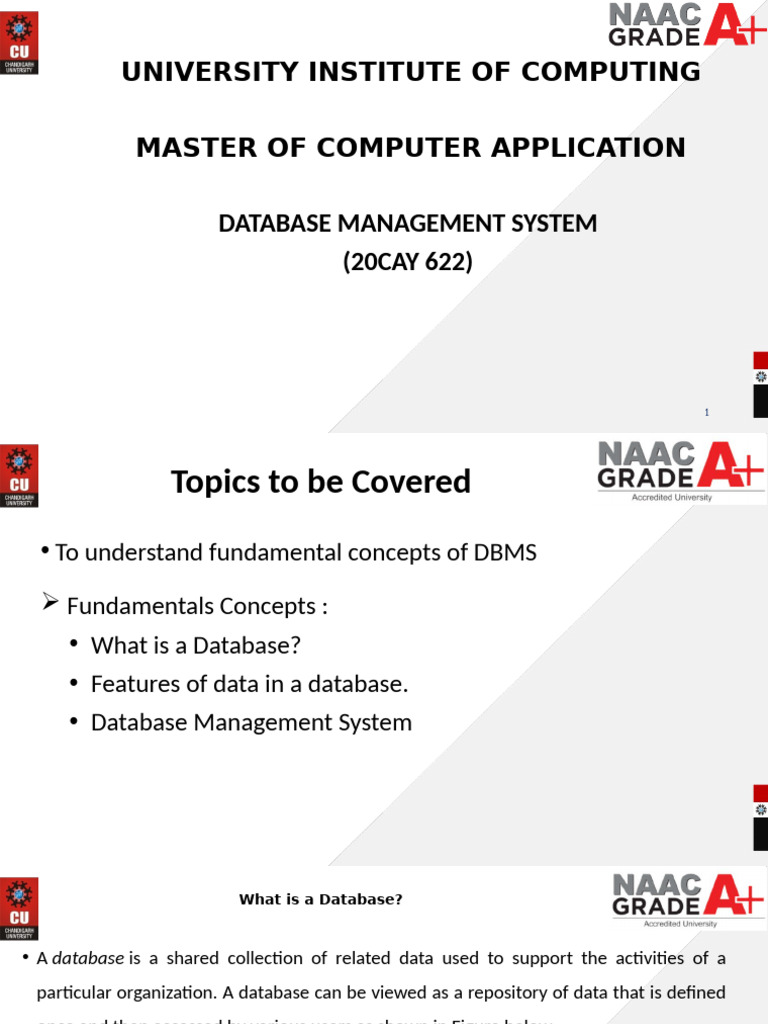 Lecture - 3 - Introduction To DBMS and Application Areas of DBMS | PDF ...