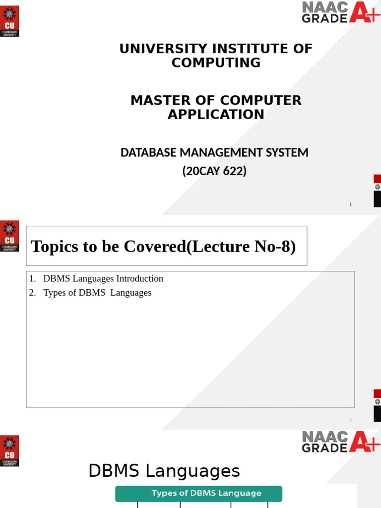 Lecture - 4 DBMS Langugages | PDF