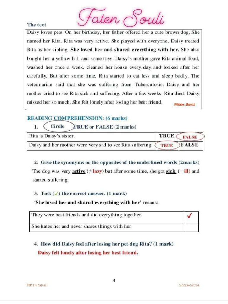 English Reading Comprehension | PDF