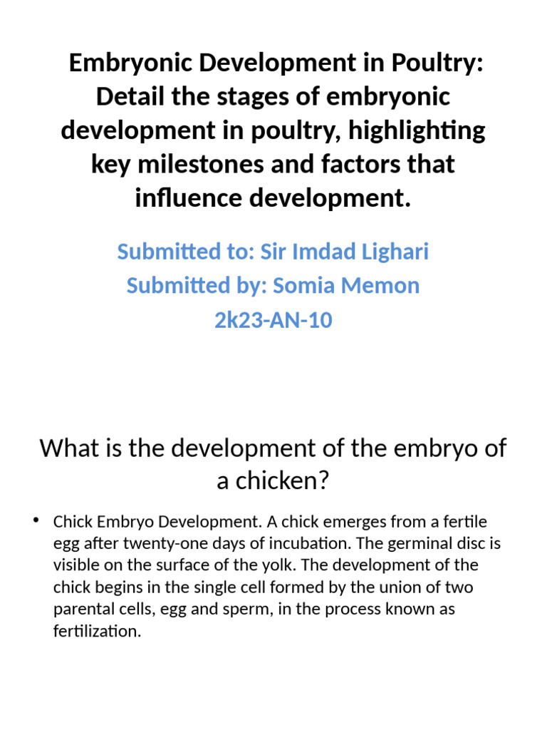 Embryonic Development in Poultry | PDF | Embryo | Egg