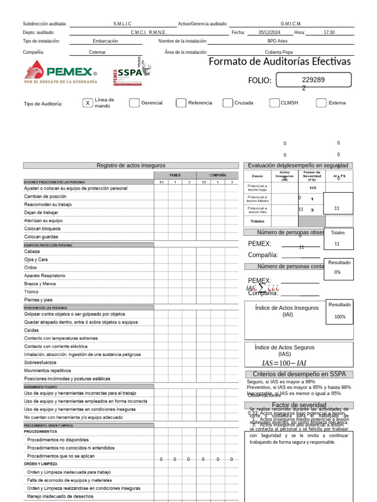Auditoria Efectiva 05-12-2024 Aries | PDF