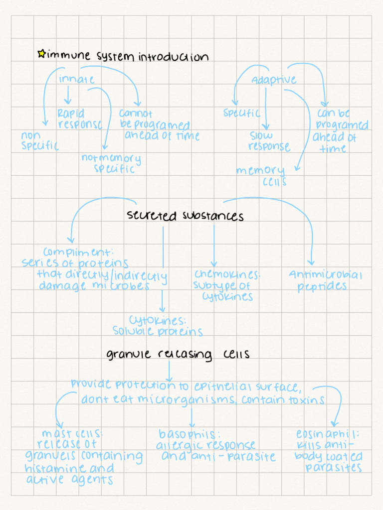 immune system outline | PDF | Immune System | Innate Immune System
