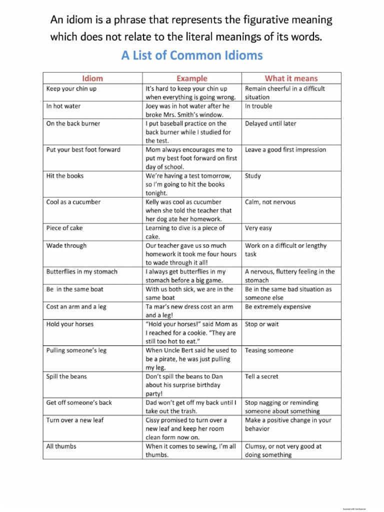 Idiomatic Expressions | PDF