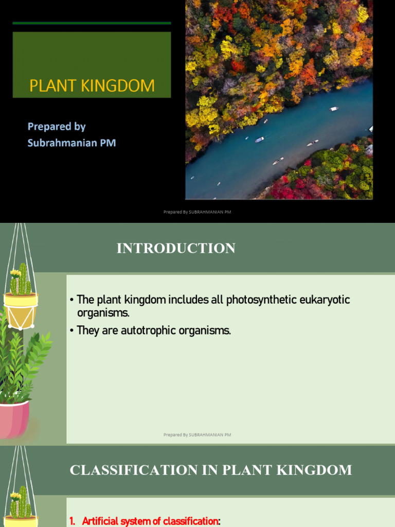 New Plant Kingdom PPT 2024 Corrected | PDF | Sexual Reproduction | Moss