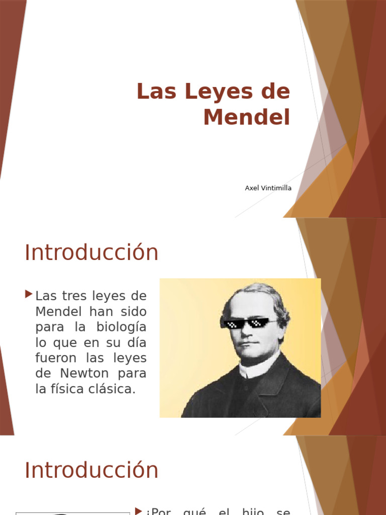 Leyes de Mendel y Genética Básica | PDF | Dominancia (Genética) | Cigosidad