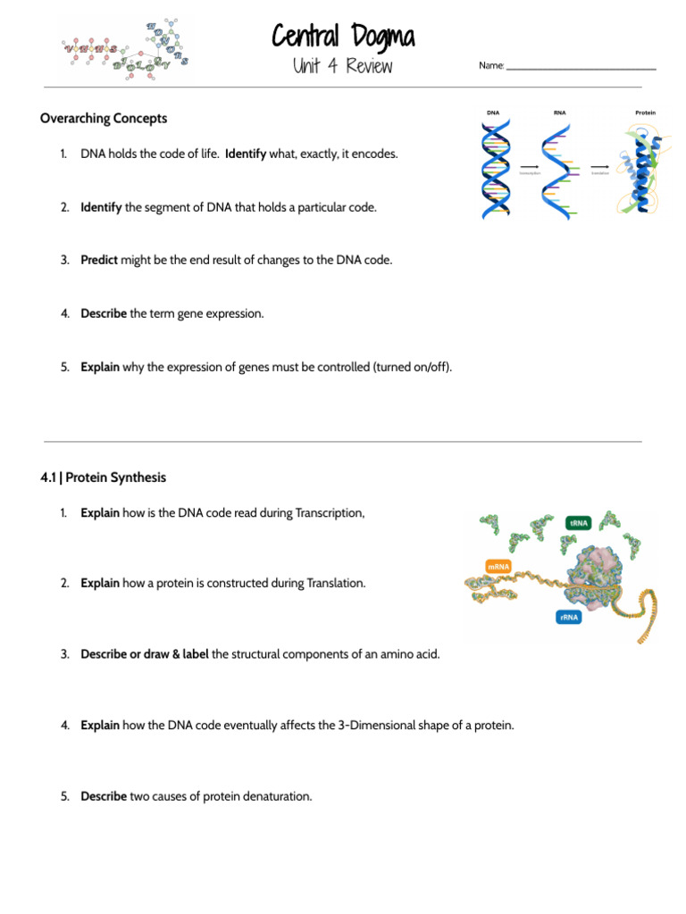 S2 Review | Unit 4 Central Dogma | PDF