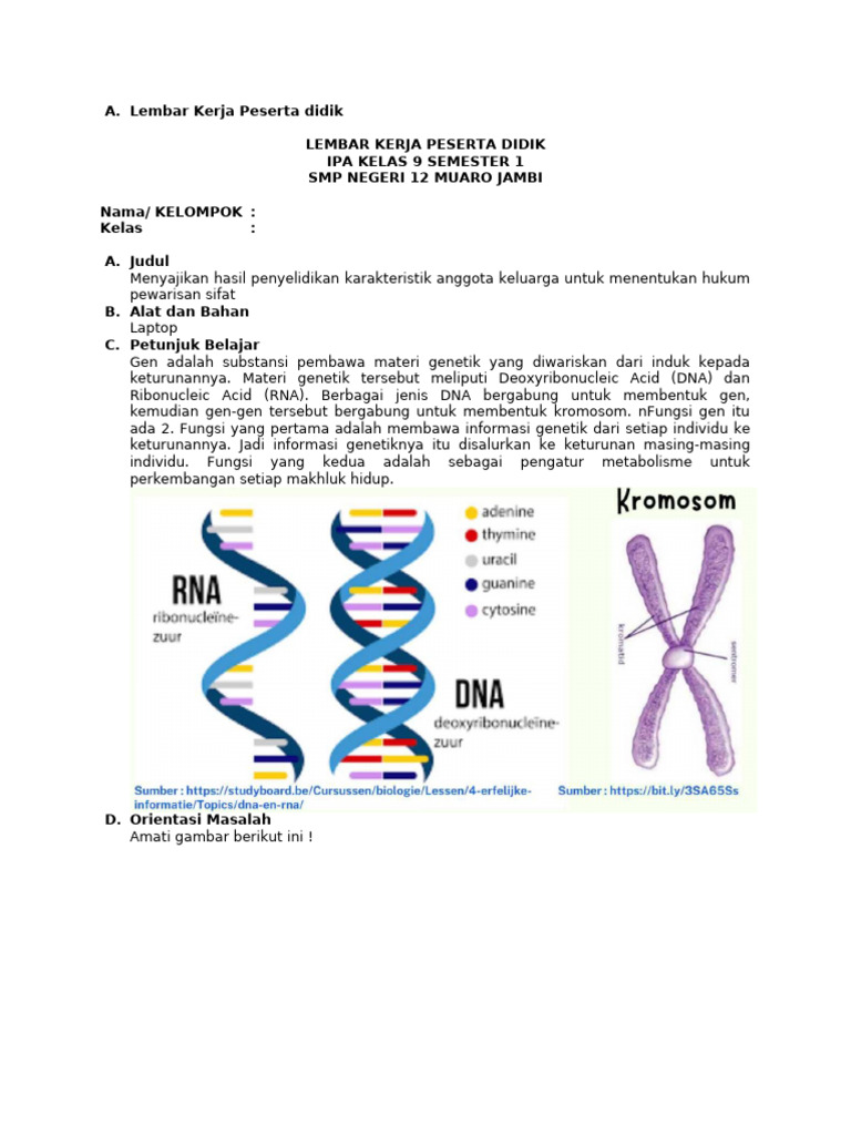 Lembar Kerja Peserta Didik Genetika 1 | PDF