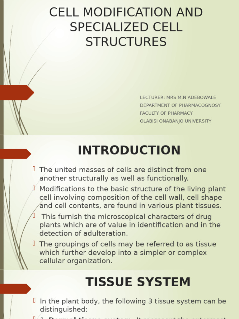 PCG 202 - Cell Modification and Specialized Cell Structures-1 | PDF | Tissue (Biology) | Stoma
