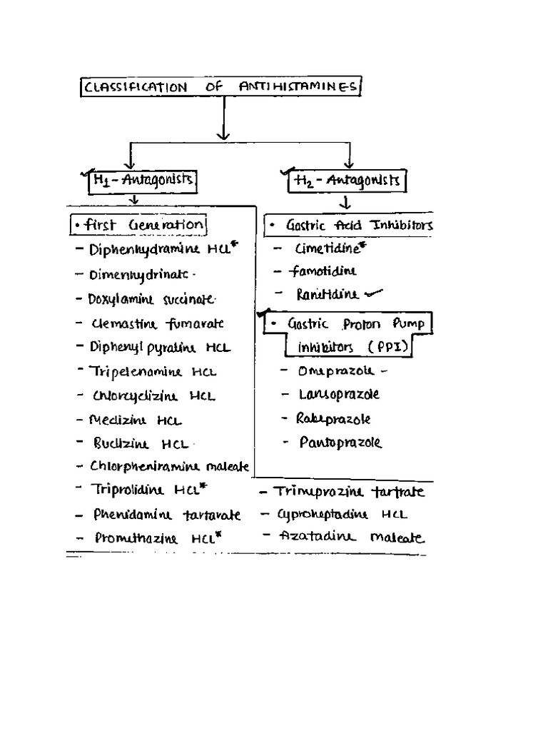 H1 Antagonist | PDF
