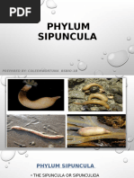 Overview of Priapulida (Penis Worms) | PDF