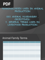 Complete Animal Terminology Chart | PDF