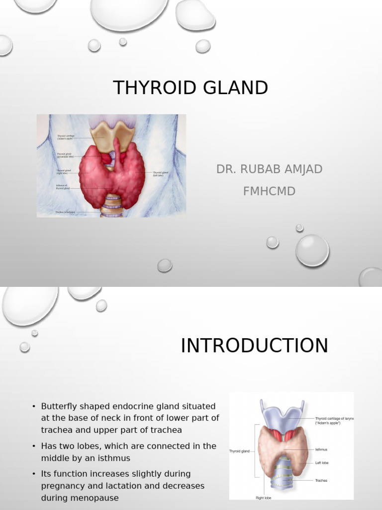 thyroid gland | PDF | Thyroid | Hypothyroidism