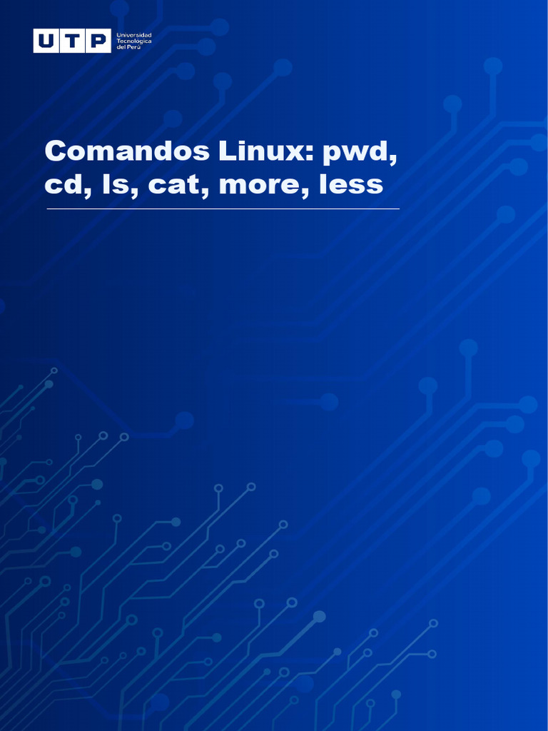Comandos Básicos de Linux | PDF