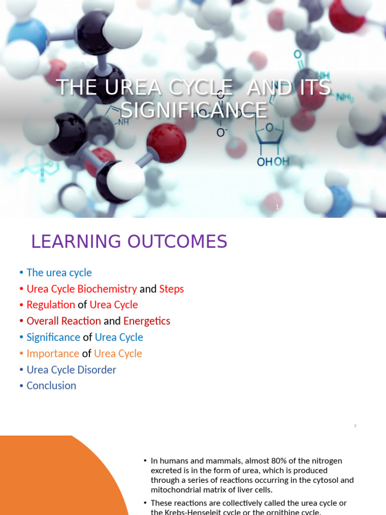 Urea Cycle and Their Function | PDF | Urea | Arginine