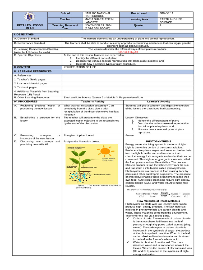 DLP-Q2- Reproduction | PDF | Photosynthesis | Plants