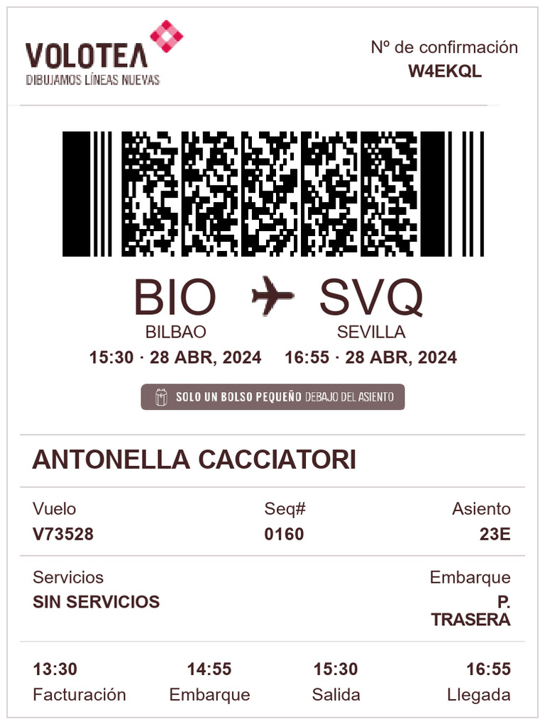 Check in Volotea | PDF