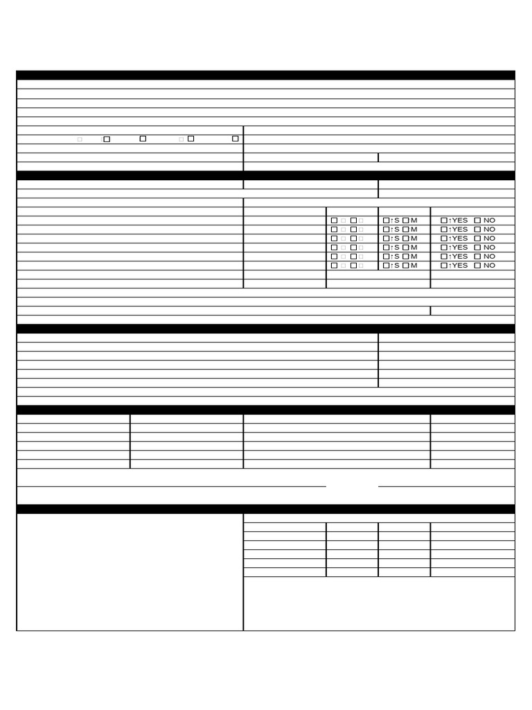 Honor BIODATA FORM | PDF