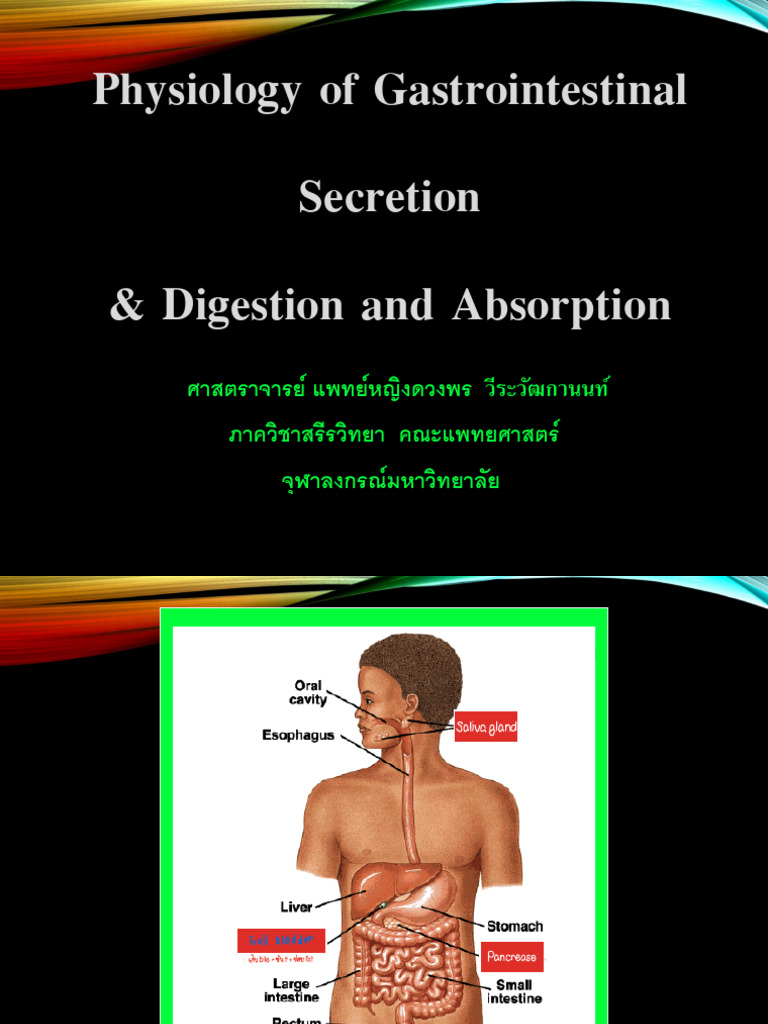 16 GI Secrete | PDF