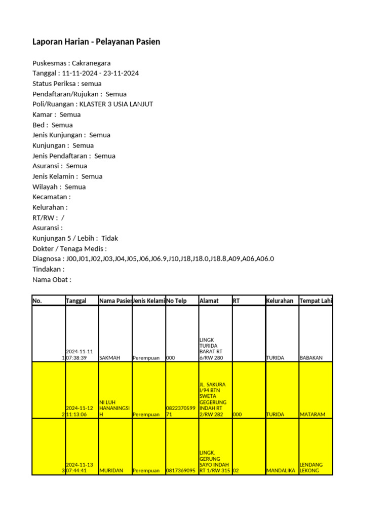 Laporan Harian - Pelayanan Pasien - 2024-11-24T083728.481 | PDF