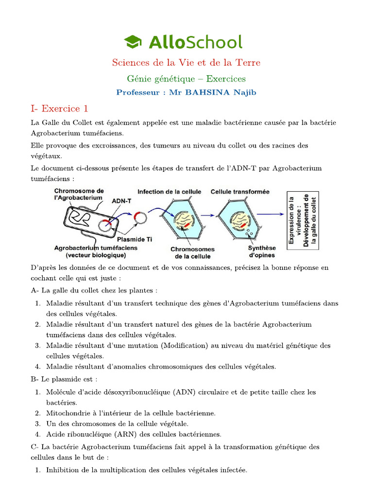 Genie Genetique Exercices 5 | PDF
