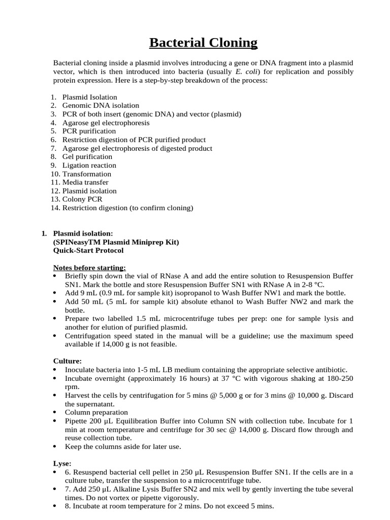 PROTOCOL | PDF | Primer (Molecular Biology) | Gel Electrophoresis