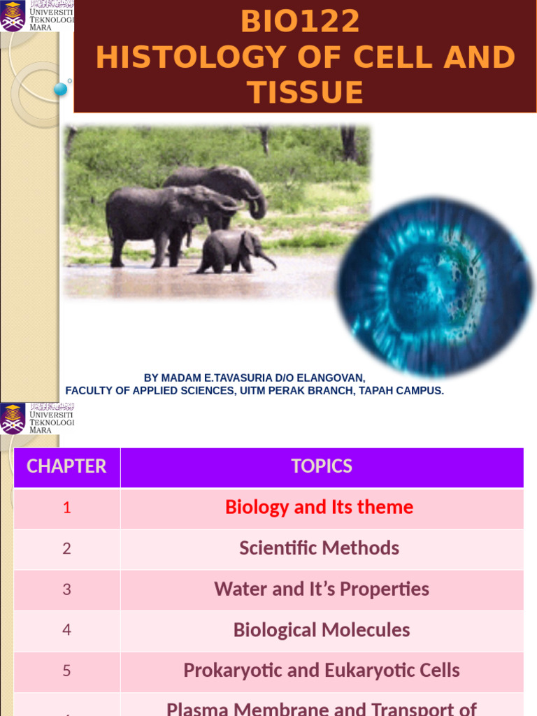 Histology & Biology Basics Guide | PDF | Life | Organisms