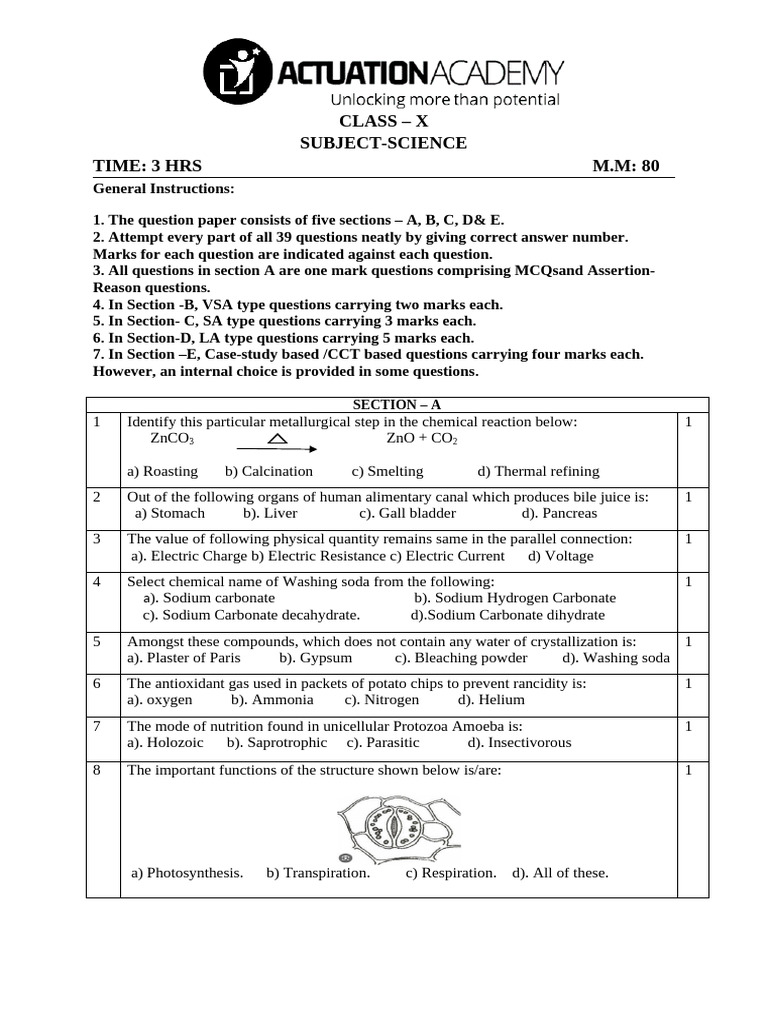 Class X Science Question Paper Guide | PDF | Chemistry
