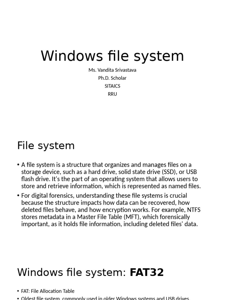 WIndows File System | PDF