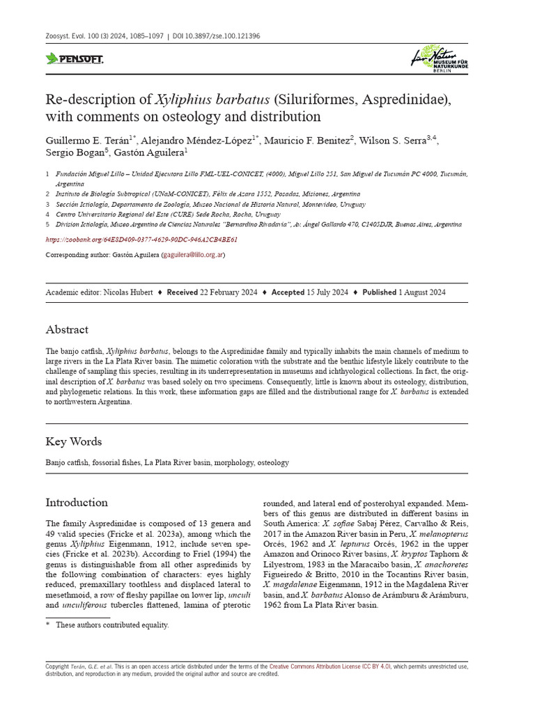 Xyliphius Barbatus Review) | PDF | Anatomical Terms Of Location | Vertebra