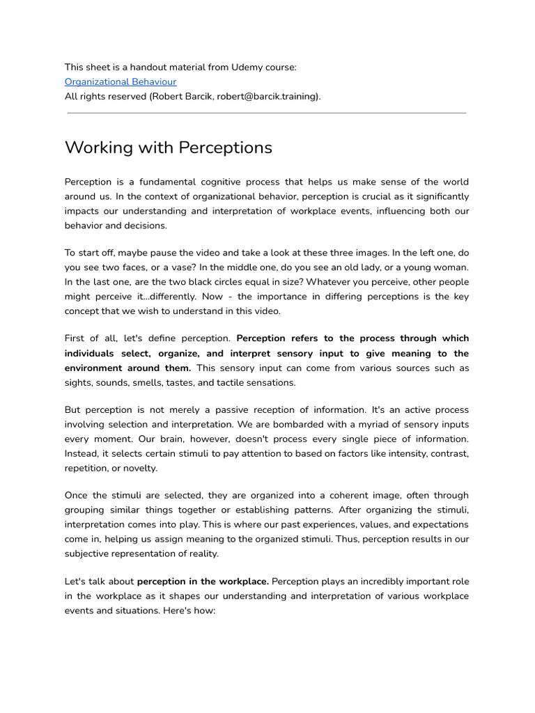 Working With Perceptions | PDF | Perception | Organizational Culture