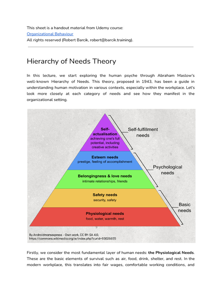 Hierarchy+of+Needs+Theory | PDF | Self Actualization | Motivation