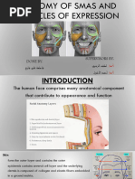 Lateral View of Facial Muscles | PDF | Soft Tissue | Human Anatomy