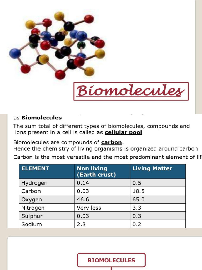 Biomolecules | PDF
