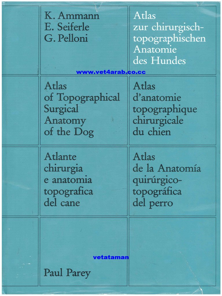 Vet4Arab: Veterinary Services Online | PDF