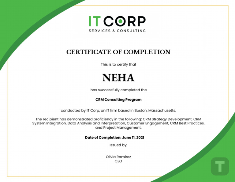 CRM Consulting Program Certificate | PDF