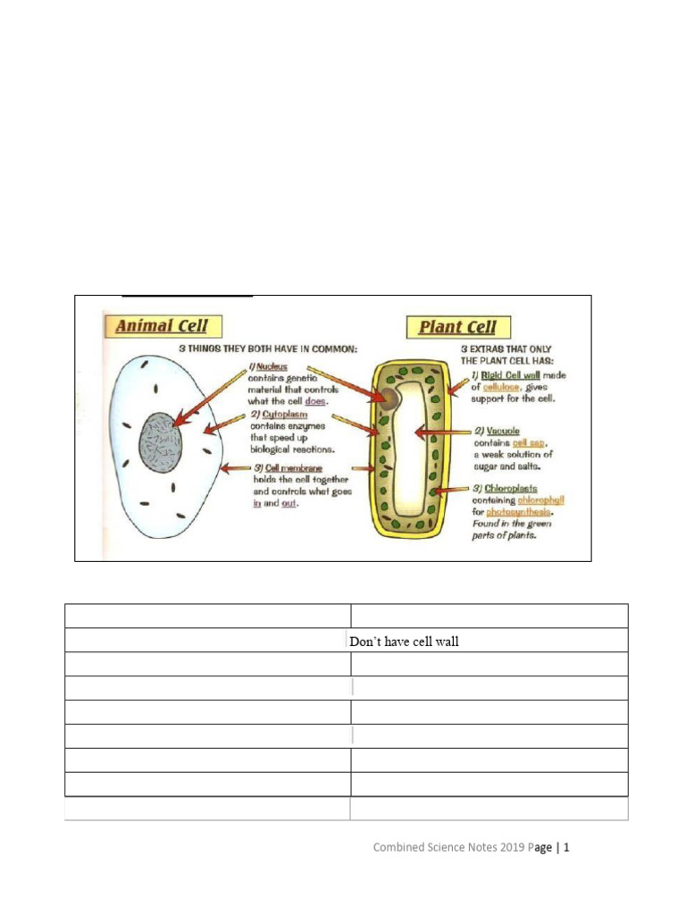 New Combined Scienec F3 and F4 Bio Notes | PDF | Atrium (Heart) | Digestion