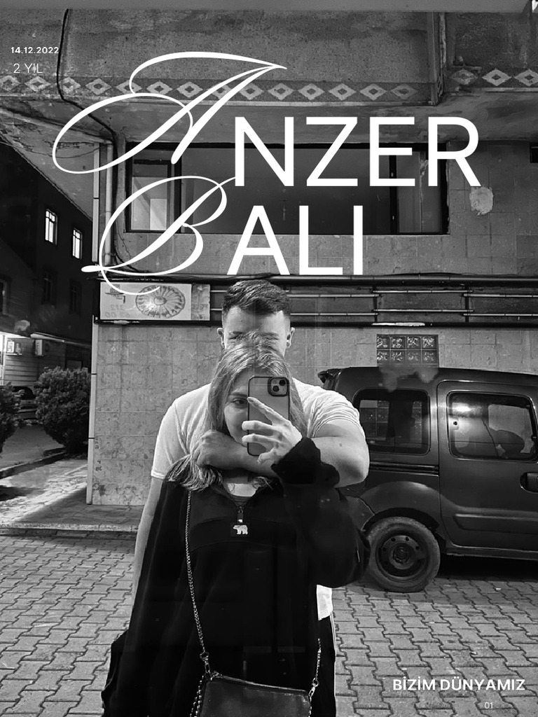 Nzer ALI | PDF